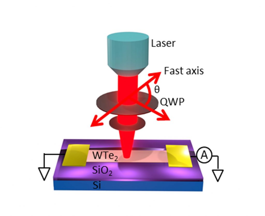 Two Dimensional Materials Mobel